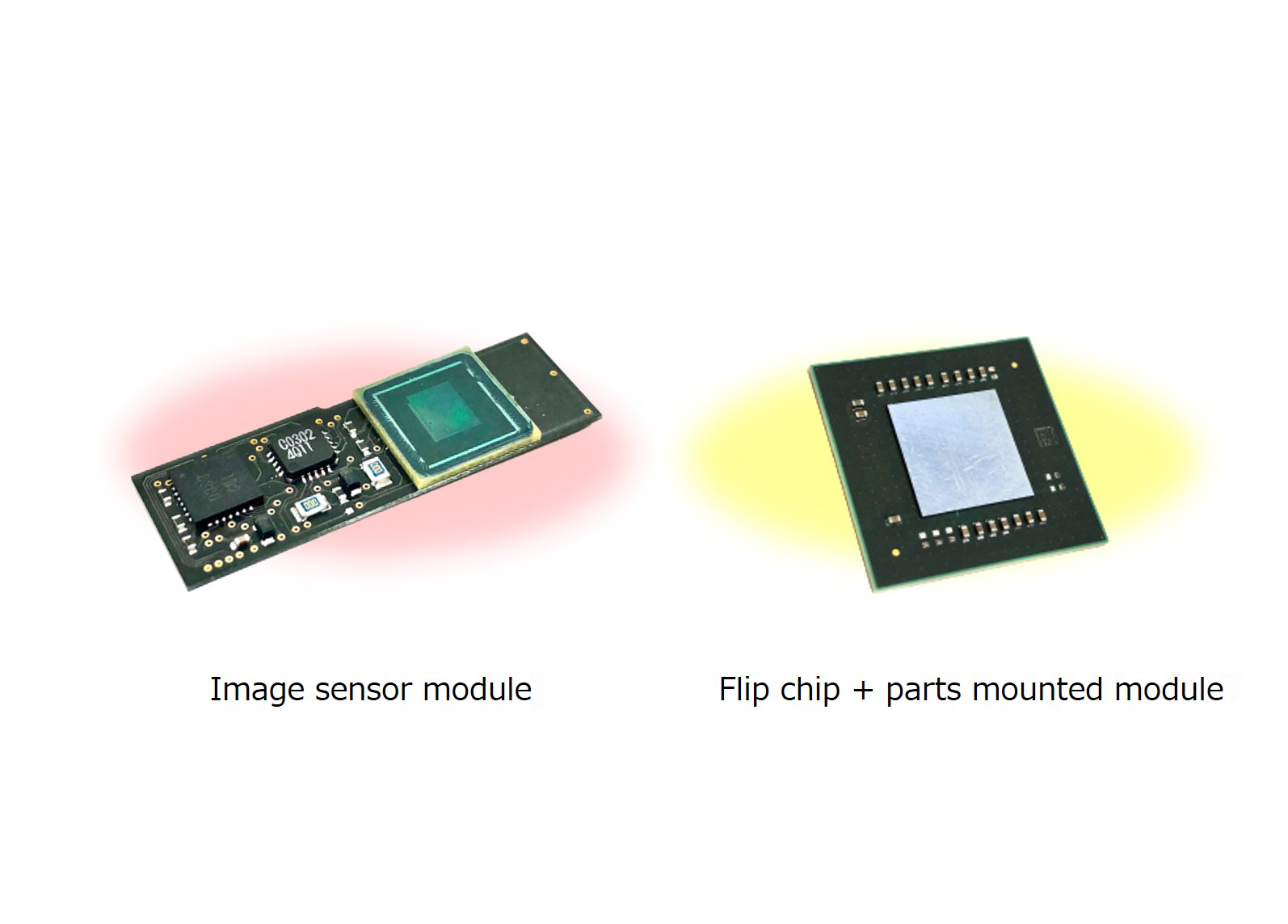 Module/flip chip - DENKEN Co.,Ltd